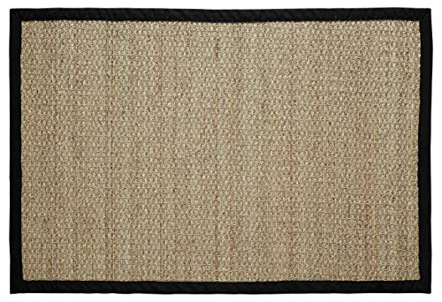 Chesapeake Seagrass Area Rug with Black border (40"x60")