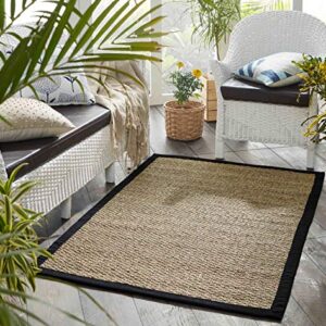 Chesapeake Seagrass Area Rug with Black border (40"x60")