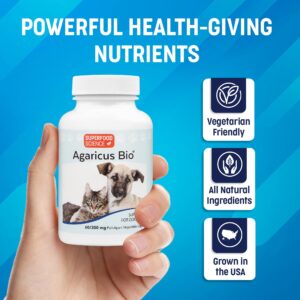 Agaricus Bio 300mg for Canines and Felines, Beta Glucan Mushroom Pet Supplement to Boost Critical Immune Defense & Cellular Health, Antioxidant Powder, Energy Support for Old Dogs and Cats, 60 caps