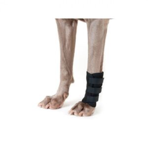 back on track therapeutic dog leg wraps large