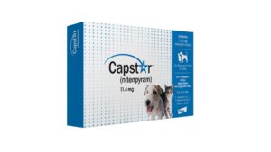 capstar fast-acting oral flea treatment for dogs