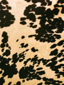 suede velvet cow print fabric udder madness upholstery black / 54" wide/sold by the yard