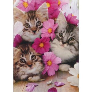 3 kittens birthday from all card