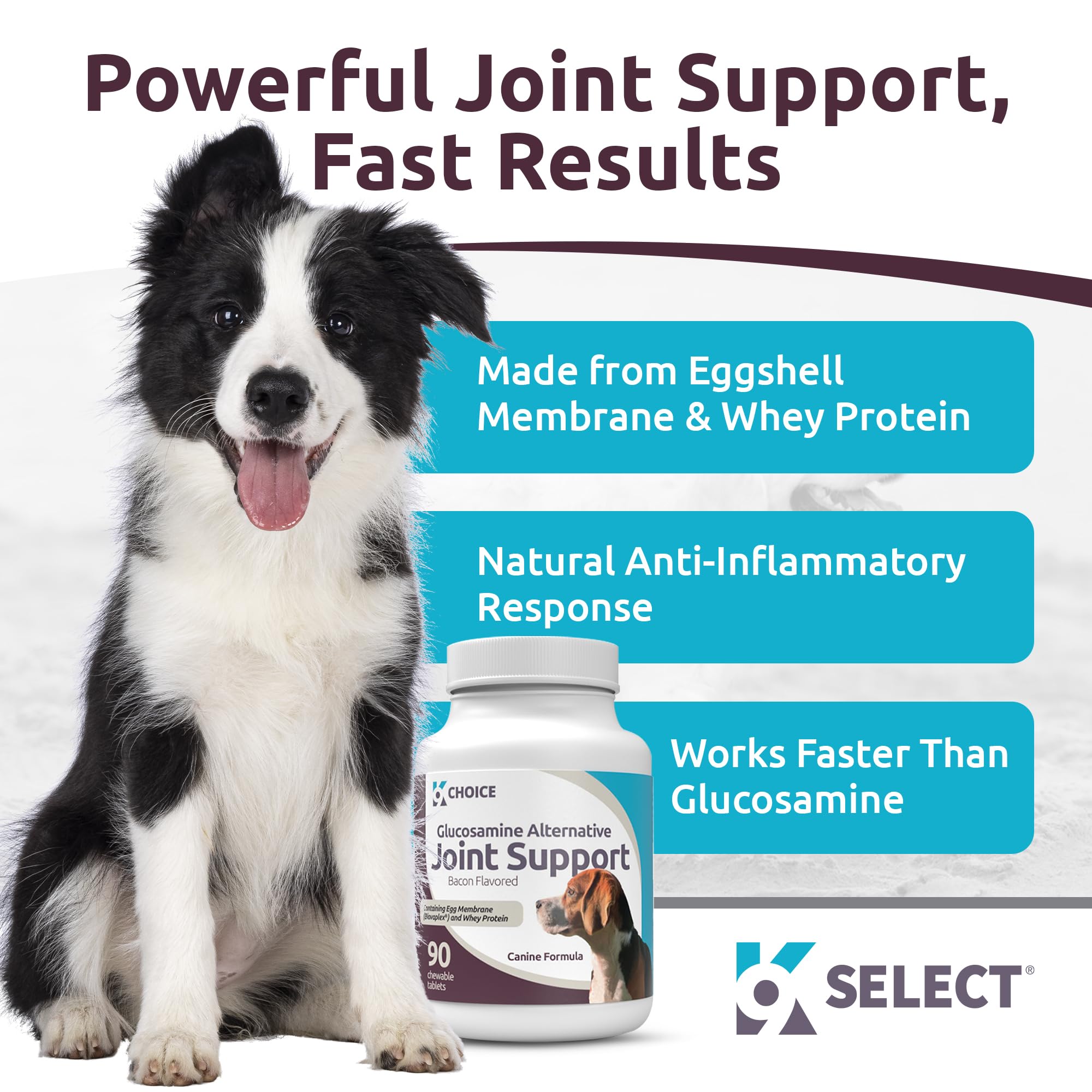 K9 Select Joint Support for Dogs with BiovaPlex - Glucosamine Alternative - 90 Chewable Tablets - Dog Joint Supplement for Mobility & Flexibilty - Hip & Joint Supplement Dogs Promotes Overall Health