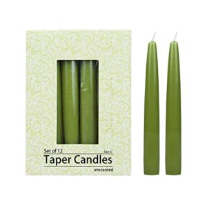 zest candle 12-piece taper candles, 6-inch, sage green