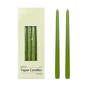 12 inch sage green taper candles