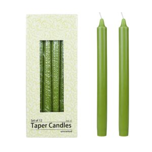 zest candle 12-piece taper candles, 10-inch, sage green straight