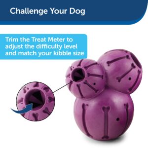 PetSafe Busy Buddy Barnacle - Dog Chew Toy - Treat Dispensing Dog Toys