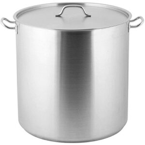 royal industries classic stock pot with cover, 100 qt, 19.7" x 19.7" ht, stainless steel, commercial grade - nsf certified