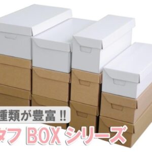 Maruai CA-3301N4 Storage Box, Tough Box, CD Cardboard, 4 Pieces