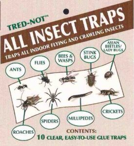 40 pk all insect traps/strips/glue boards. trap flies, bees, wasps, asian beetles, etc.