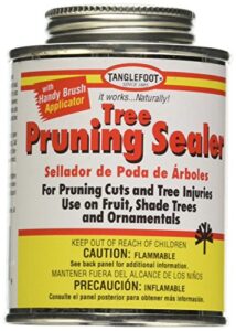 tanglefoot tree pruning sealer can with brush cap