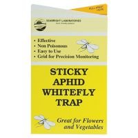 sticky aphid/whitefly traps