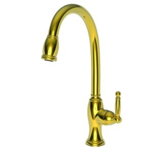 newport brass 2510-5103/01 kitchen-sink-faucets, forever brass (pvd)