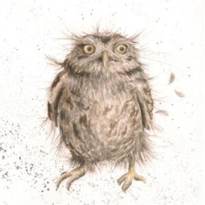 birthday / blank artist card (wre0087) little owl - 'what a hoot'