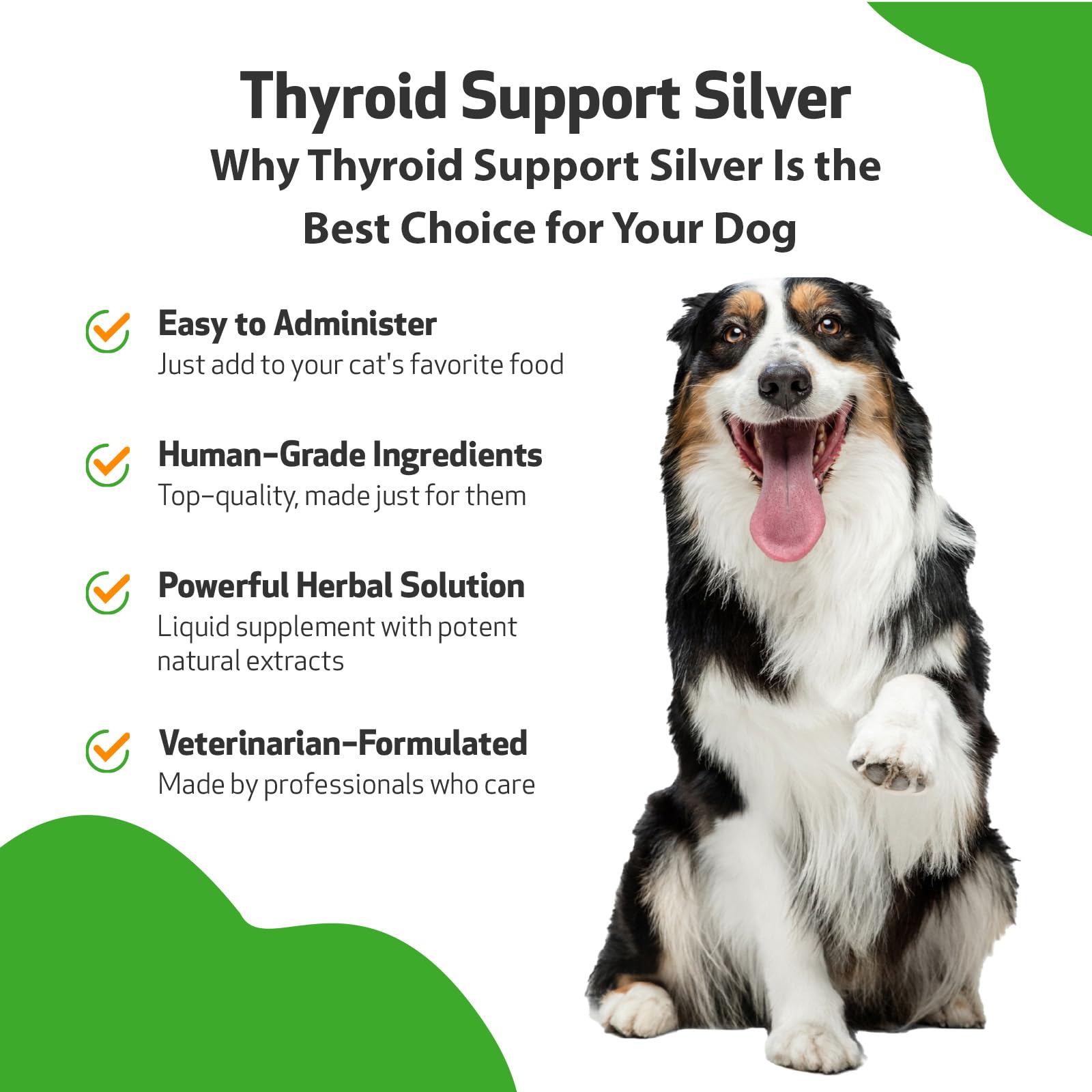 Pet Wellbeing Thyroid Support Silver for Dogs - Supports Balanced Thyroid Function, Healthy Metabolism, Normal Energy, Ashwagandha, Bacopa - Veterinarian-Formulated Herbal Supplement 2 oz (59 ml)