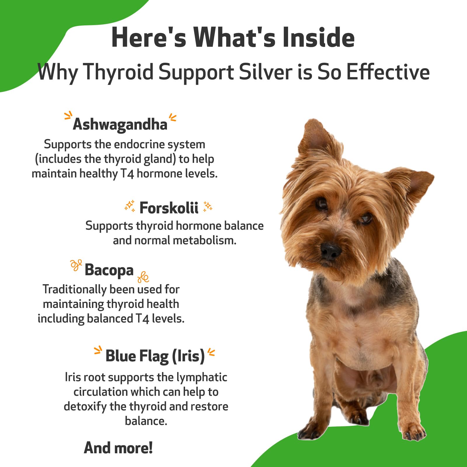 Pet Wellbeing Thyroid Support Silver for Dogs - Supports Balanced Thyroid Function, Healthy Metabolism, Normal Energy, Ashwagandha, Bacopa - Veterinarian-Formulated Herbal Supplement 2 oz (59 ml)