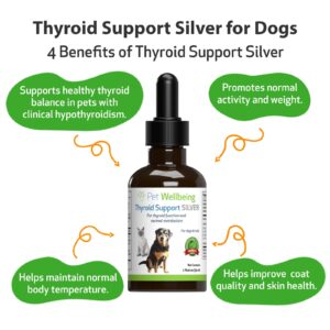 Pet Wellbeing Thyroid Support Silver for Dogs - Supports Balanced Thyroid Function, Healthy Metabolism, Normal Energy, Ashwagandha, Bacopa - Veterinarian-Formulated Herbal Supplement 2 oz (59 ml)