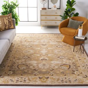 safavieh anatolia collection area rug - 8' x 10', sage & beige, handmade traditional oriental wool, ideal for high traffic areas in living room, bedroom (an512c)