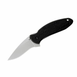 kershaw scallion assisted opening knife black gfn (2.25" bead blast) 1620