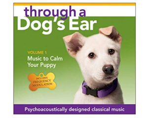 through a dog's ear: music to calm your puppy 1