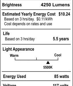 KAEZI 85 Watt Studio Light Bulb 5500K CFL Day Light.