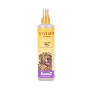 burt's bees for pets calming spray with lavender and green tea, naturally derived dog spray for all dogs to calm and soothe, 10 fl oz dog spray - made in the usa