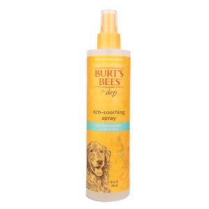 burt's bees for pets naturally derived itch soothing spray with honeysuckle - best anti-itch spray for dogs with itchy skin - cruelty free, formulated without sulfates and parabens, 10 fl oz