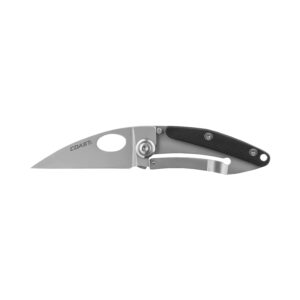 coast fx175 frame lock light weight folding knife 2-inch blade, stainless steel