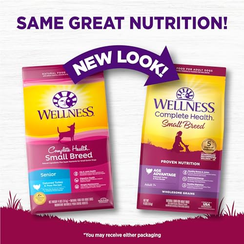 Wellness Complete Health Small Breed Dry Dog Food with Grains, Natural Ingredients, Made in USA with Real Turkey, For Dogs Up to 25 lbs. (Senior, Turkey & Peas, 4-Pound Bag)