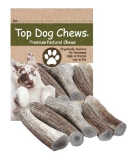 top dog chews premium large thick elk antler 5 pack dog chew treat made in usa brown