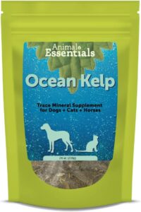 animal essentials ocean kelp for dogs & cats - thyroid support, thyroid supplement, sea kelp, kelp powder, trace mineral supplement - 24 oz