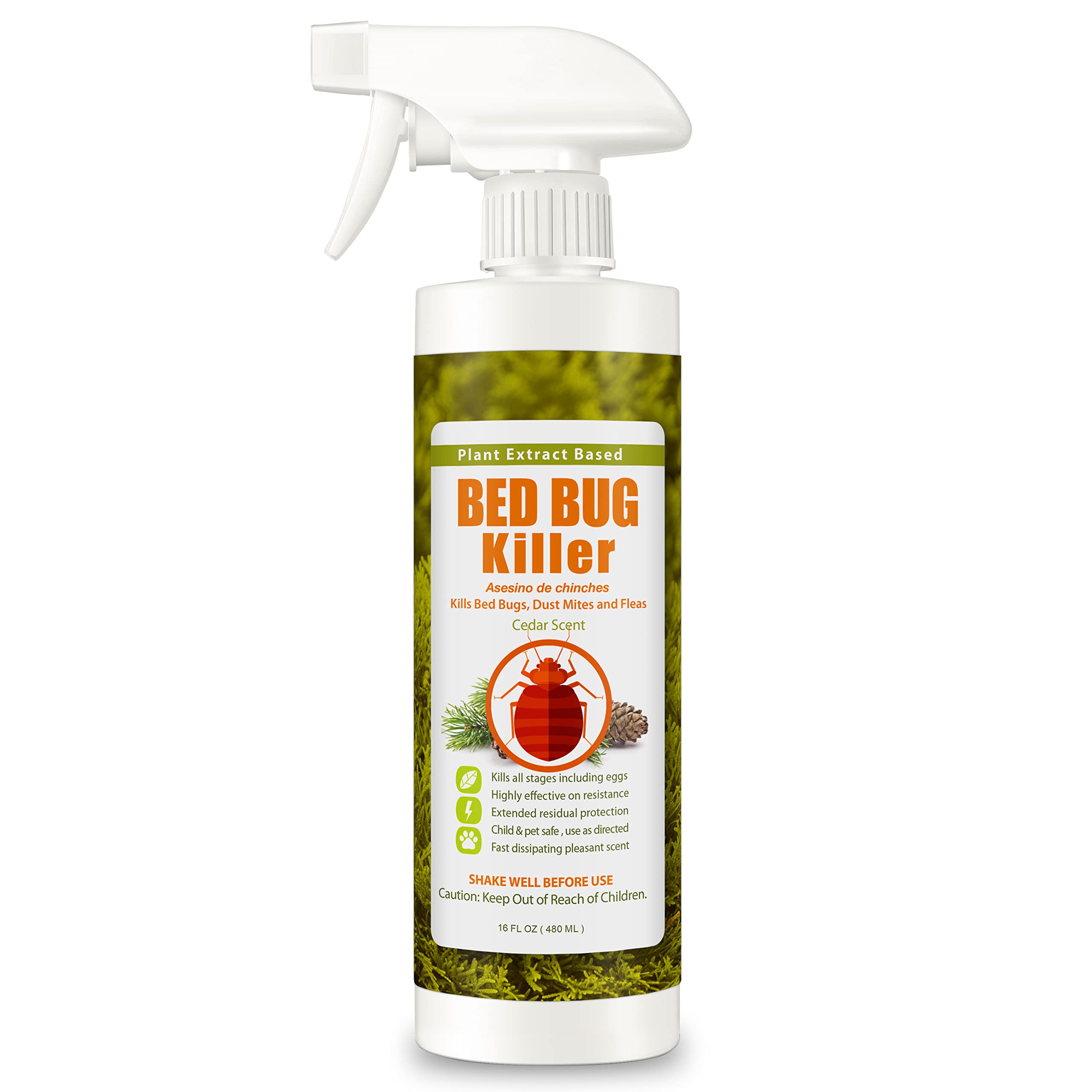 EcoRaider Bed Bug Killer Spray 16 Oz, Green + Non-toxic, 100% Kill + Extended Protection