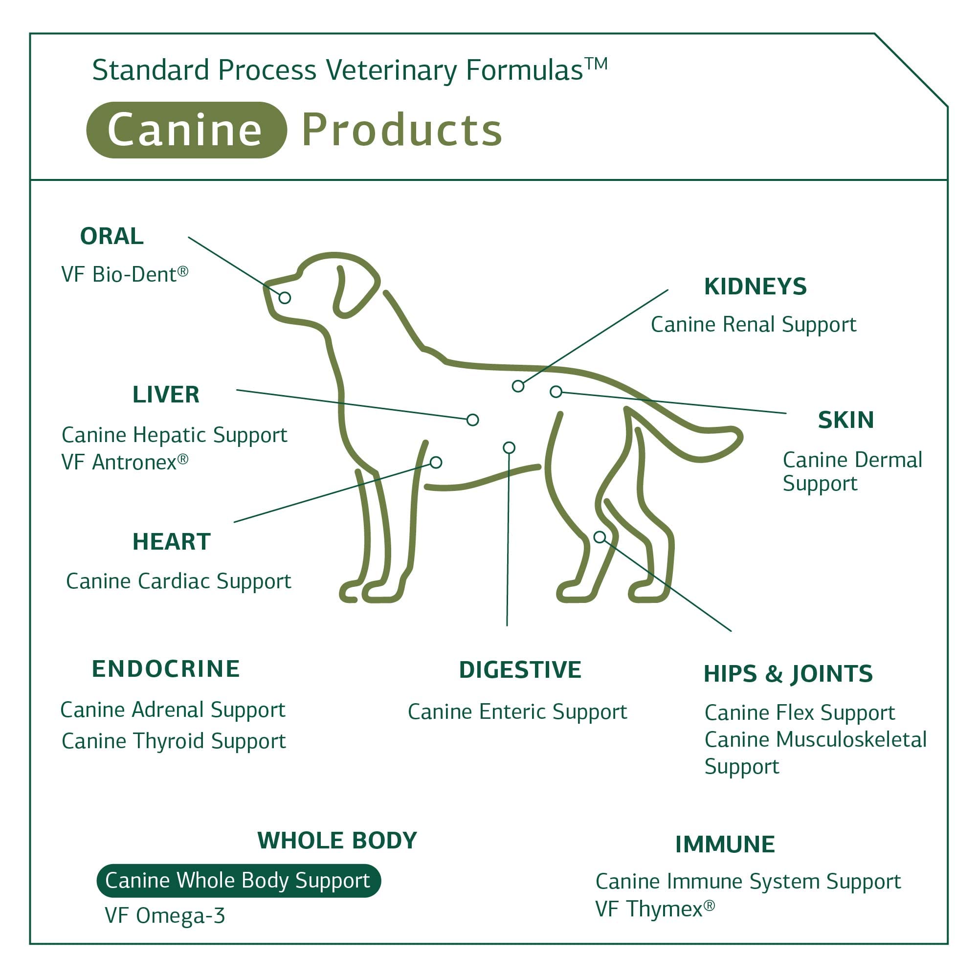 Standard Process Canine Whole Body Support - Multisystem Support Supplement for Canines - Nutritional Powder Supplement for Daily Health Maintenance - Multisystem Supplement Formula - 25 g