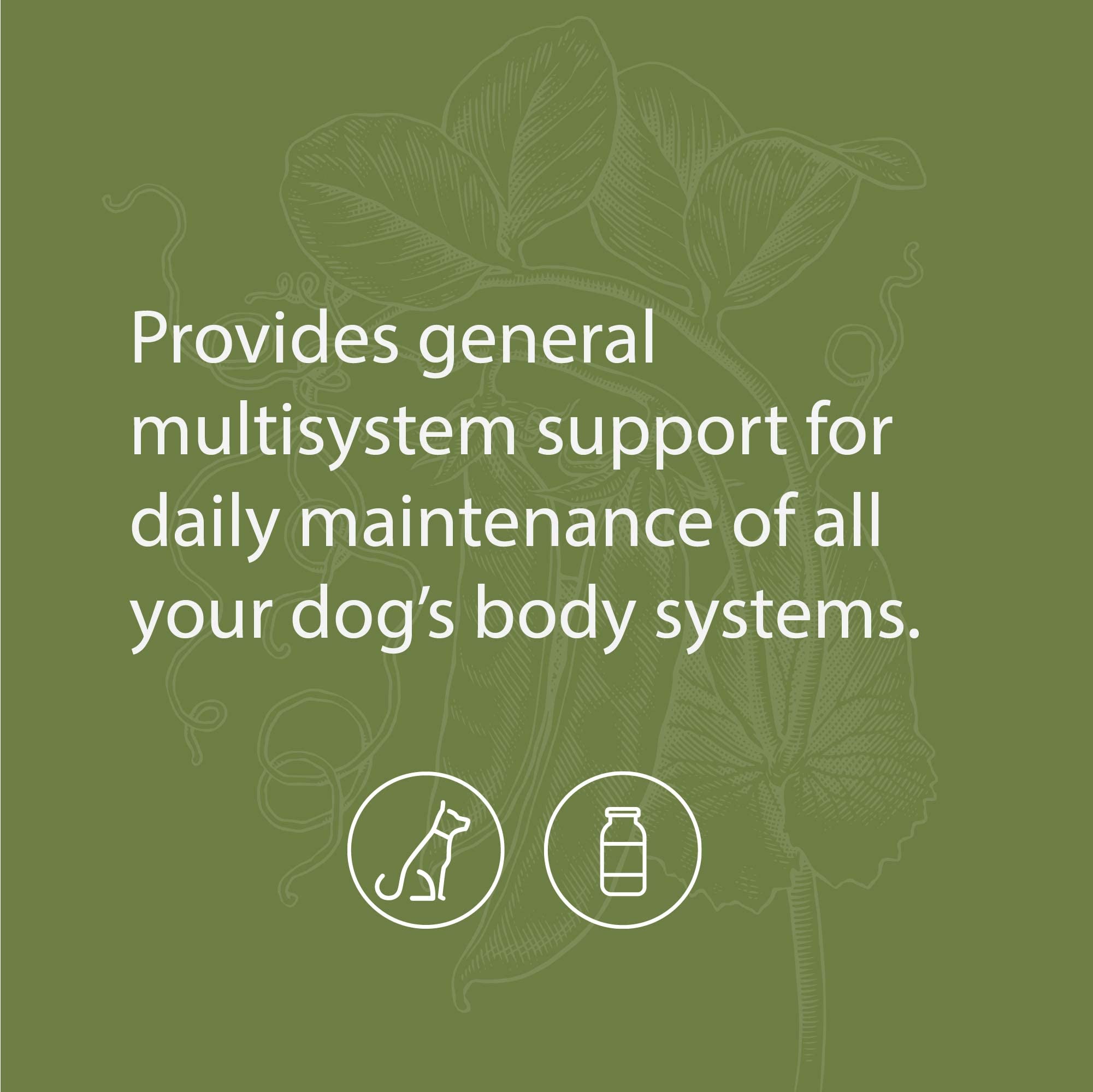 Standard Process Canine Whole Body Support - Multisystem Support Supplement for Canines - Nutritional Powder Supplement for Daily Health Maintenance - Multisystem Supplement Formula - 25 g