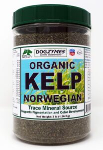 dogzymes organic norwegian kelp for pets, a valuable nutrition source rich in iodine to support gland function, especially the thyroid (3 pound)