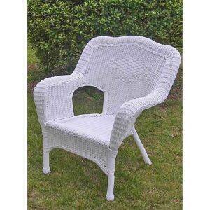 International Caravan Furniture Piece Camelback Resin Wicker Patio Chairs (Set of 2)