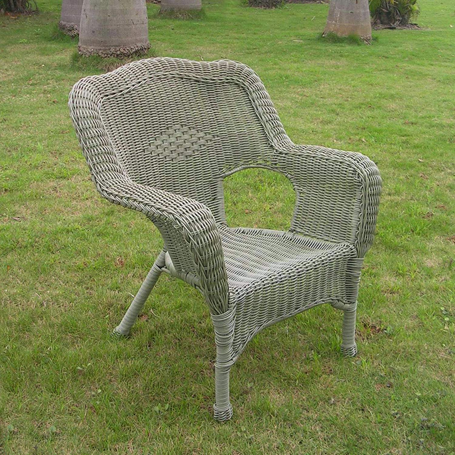 International Caravan Furniture Piece Camelback Resin Wicker Patio Chairs (Set of 2)