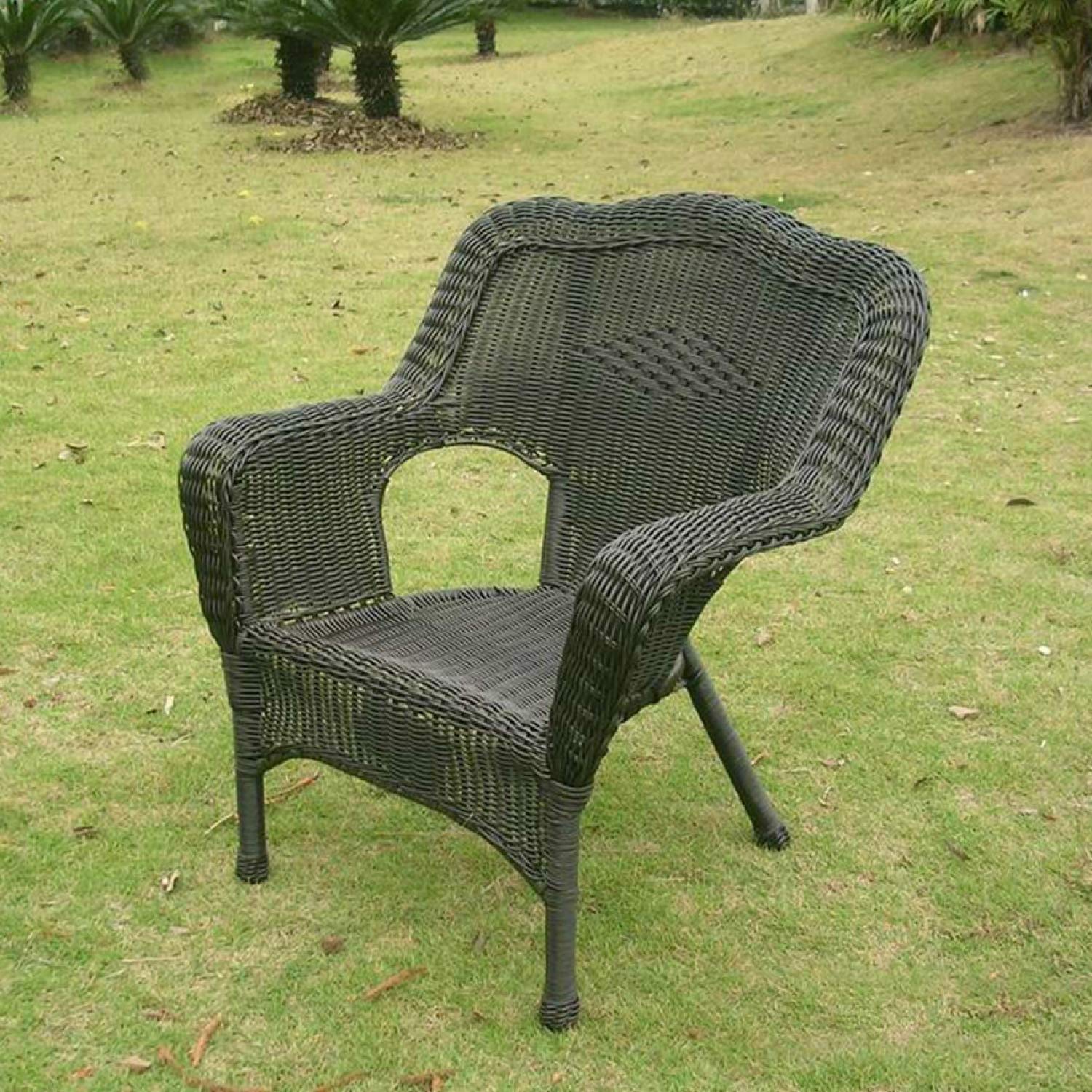 International Caravan Furniture Piece Camelback Resin Wicker Patio Chairs (Set of 2)