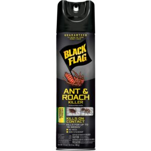 black flag ant & roach killer aerosol, spring fresh scent, 17.5-ounce, 12-pack