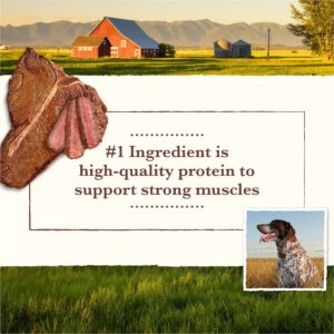 Whole Earth Farms Natural Grain Free Dry Kibble, Wholesome And Healthy Dog Food, Pork, Beef, And Lamb Recipe - 4 LB Bag