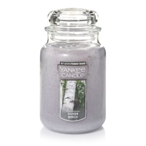 yankee candle silver birch scented, classic 22oz large jar single wick aromatherapy candle, over 110 hours of burn time, apothecary jar fall candle, autumn candle scented for home