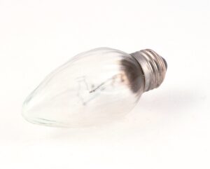 apw wyott 1505870 bulb