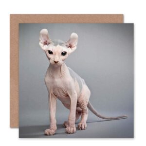 wee blue coo sphynx cat bald birthday art sealed greeting card plus envelope blank inside