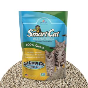 smartcat all natural clumping cat litter, 10 pound (160oz 1 pack) - alternative to clay and pellet litter - chemical and 99% dust free - unscented and lightweight