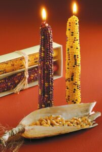 tag 9" harvest corn themed taper flame candles, set of 2 thanksgiving fall autumn dining dinner kitchen table tabletop decor decoration s/2 multi harvest