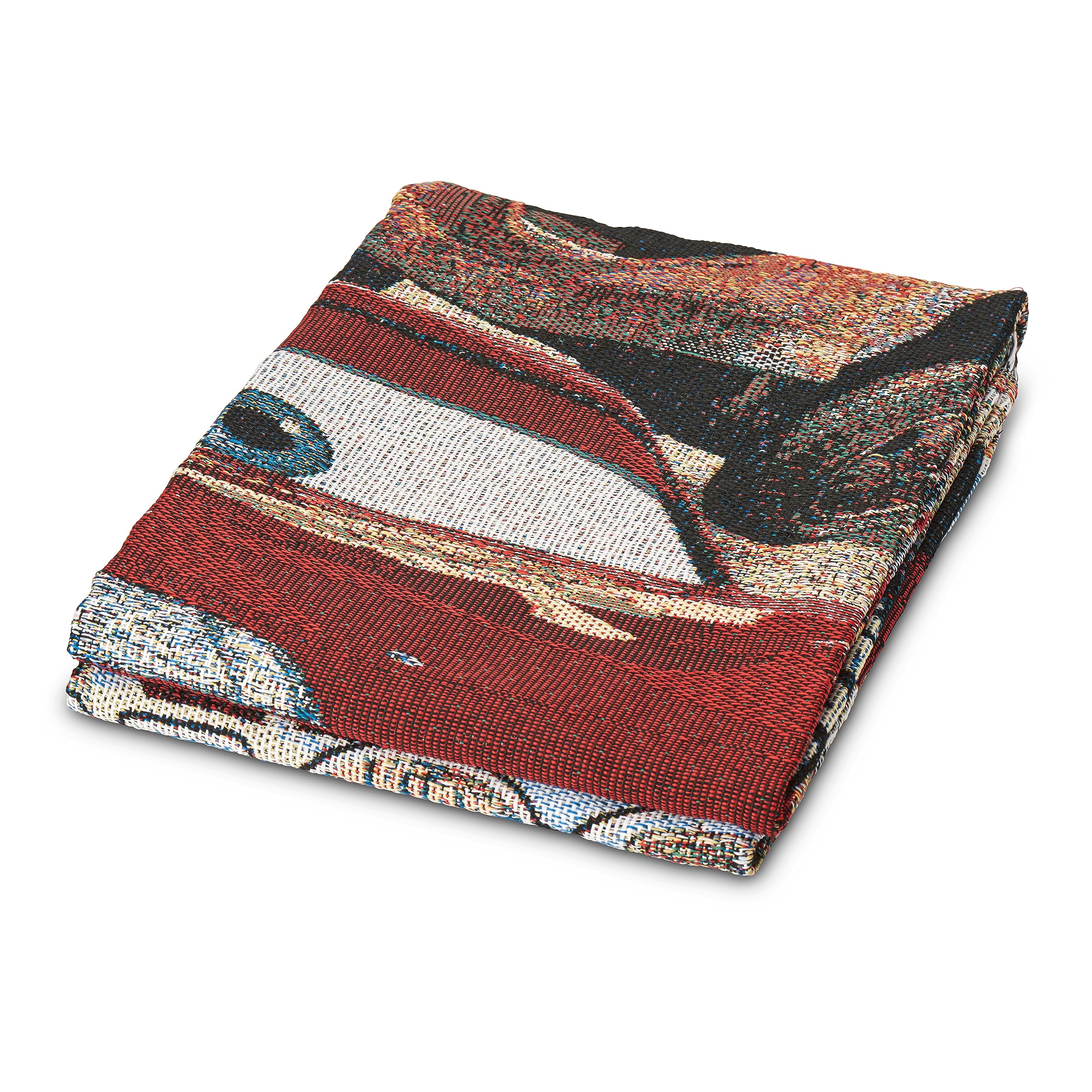 Disney-Pixar's Cars, "Greetings from Radiator Springs" Woven Tapestry Throw Blanket, 48" x 60", Multi Color