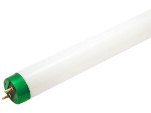 philips 20w 24in t12 daylight white fluorescent tube