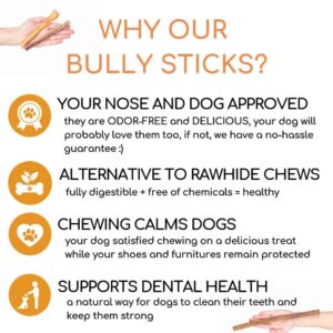 Best For My Pets 12-Inch Odor Free Bully Sticks All Natural Dog Treats Fresh Long Lasting Chews, 8-Ounce Bag