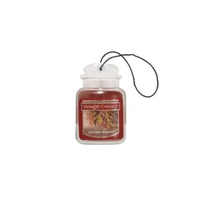 Yankee Candle Autumn Wreath Car Jar Ultimate Air Freshener, Food & Spice Scent